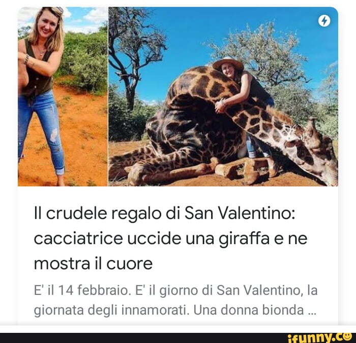 Giraffa memes. Best Collection of funny Giraffa pictures on iFunny