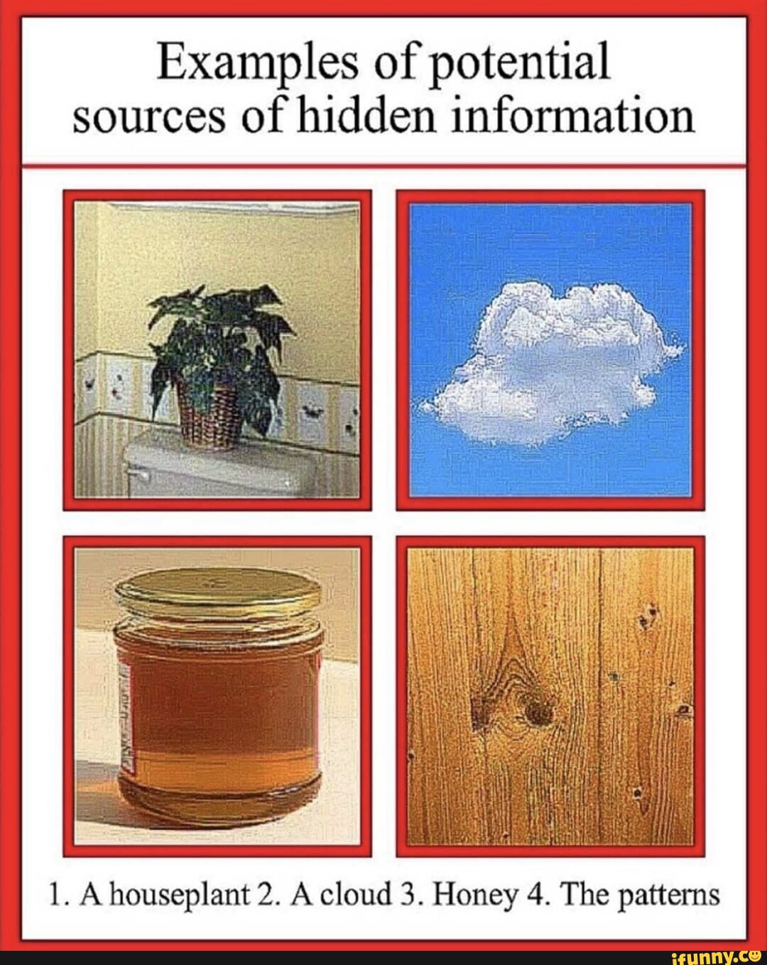 Examples of potential sources of hidden information 1. A houseplant 2 ...
