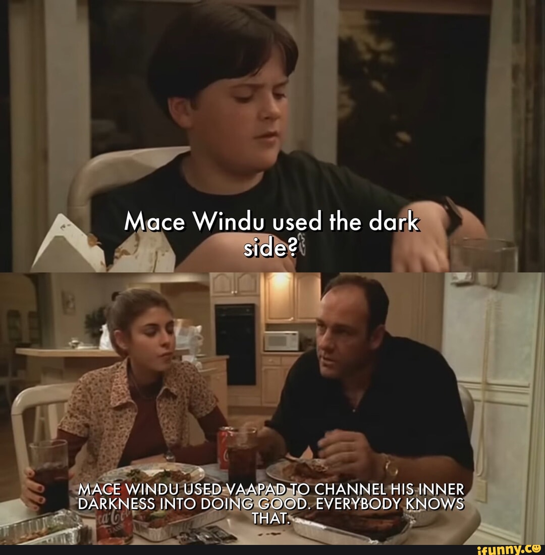 Mace Windu used the dark sidee MACE WINDU USED VAAPAD TO CHANNEL HIS ...