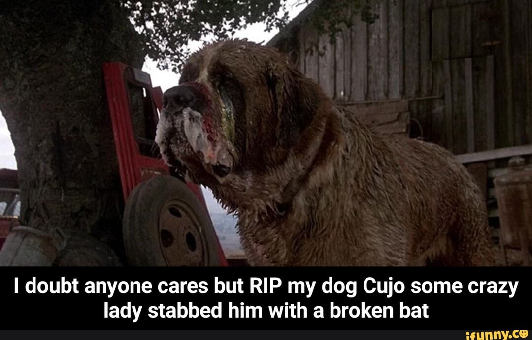 Cujo memes. Best Collection of funny Cujo pictures on iFunny