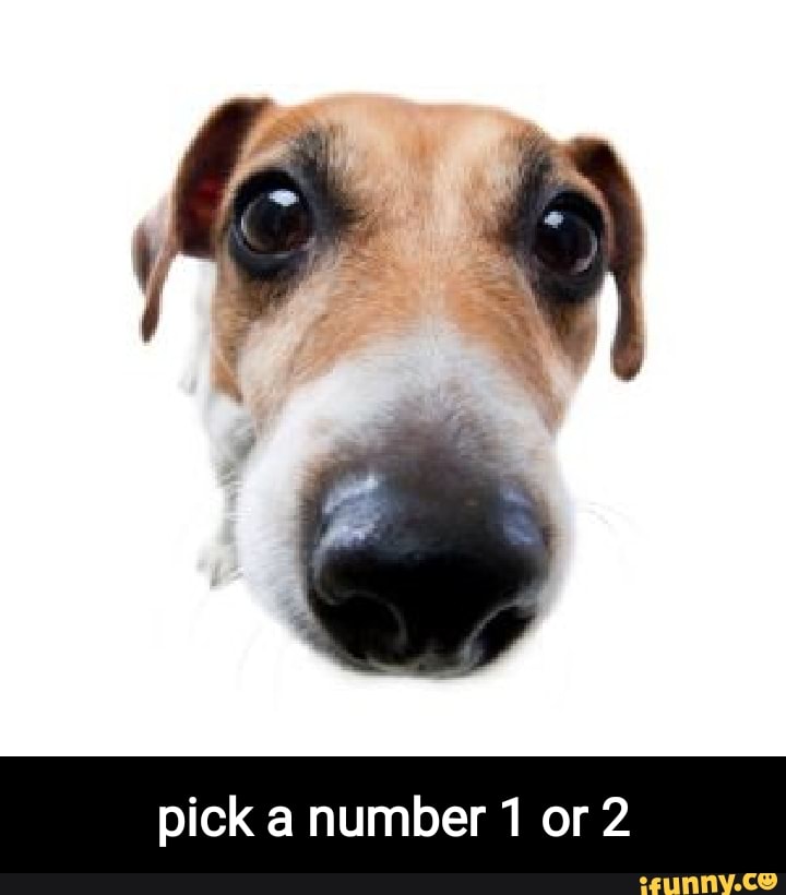 Pick A Number 1 Or 2 IFunny Pick A Number 1 Or 2 IFunny