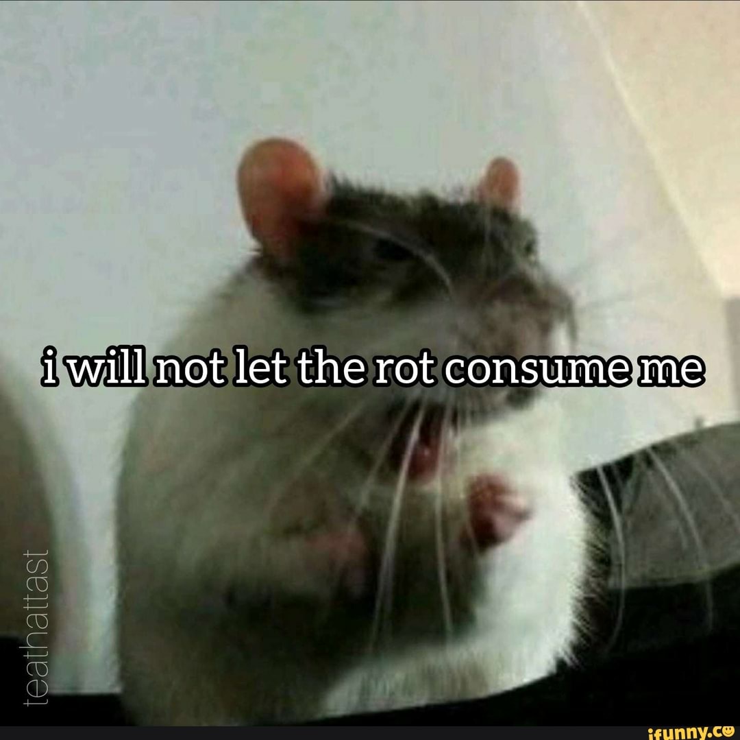 I will not let the rot consume me - iFunny