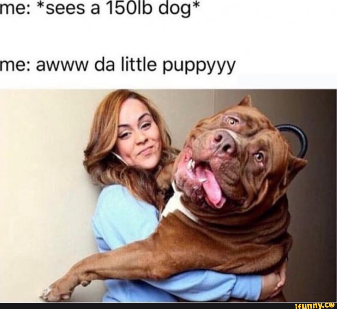 Picture memes 72V1dtNQ7 by Eragonnogare: 0.8K comments - iFunny