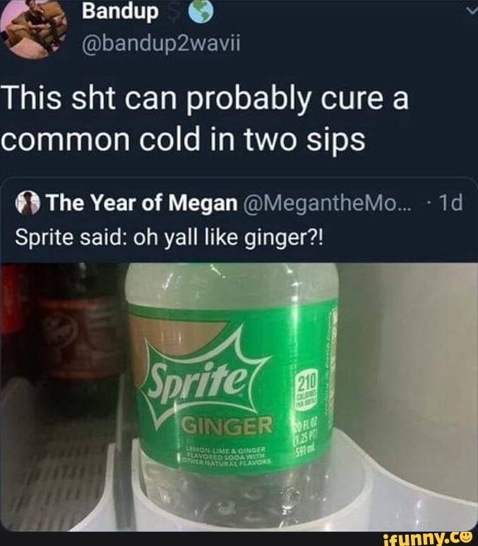 Picture memes M1ZlX2qsB by Horny_pussy: 45 comments - iFunny