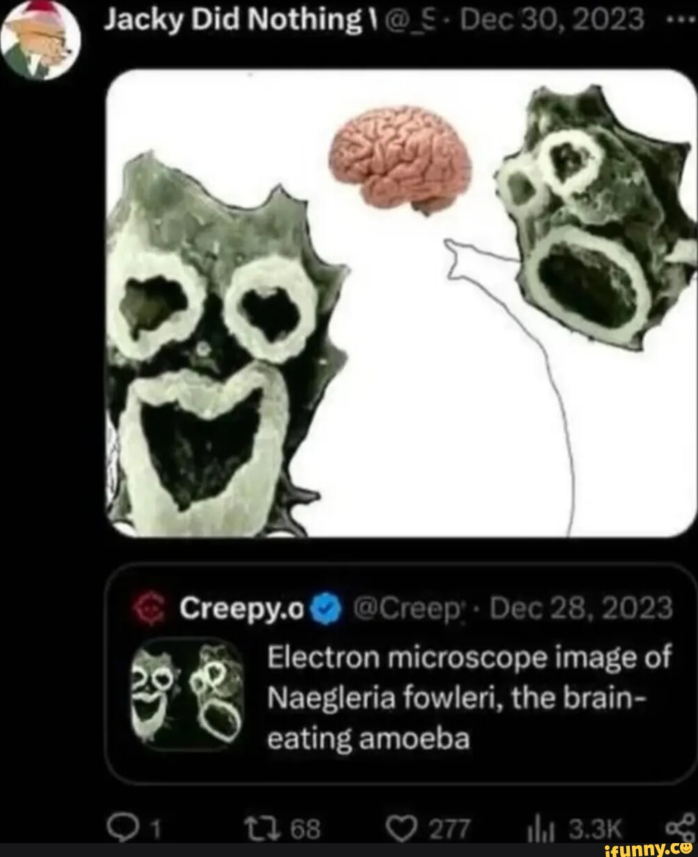 Jacky Did Nothing \ LS Creepy.c Se Electron microscope image of ...