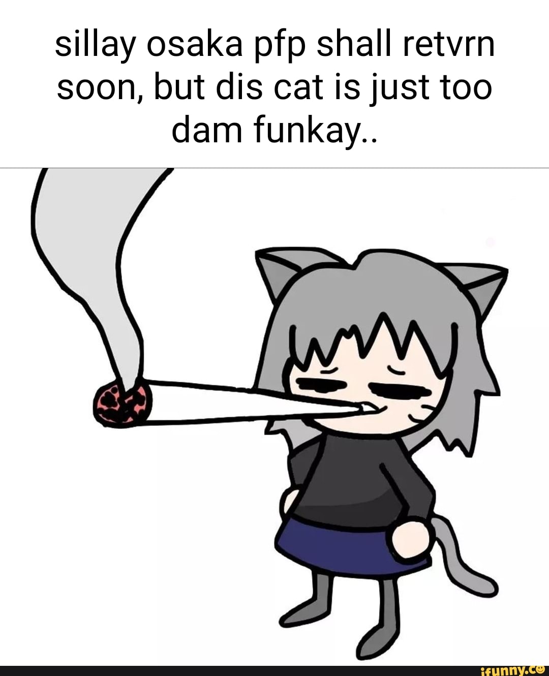 Sillay osaka pfp shall retvrn soon, but dis cat is just too dam funkay ...