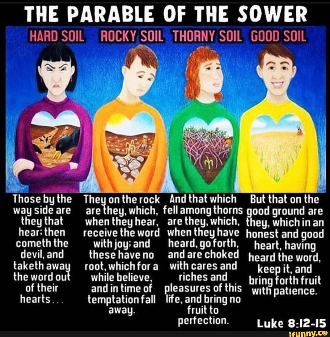 THE PARABLE OF THE SOWER HARD SOIL ROCKY SOIL THORNY SOIL GOOD SOIL i ...