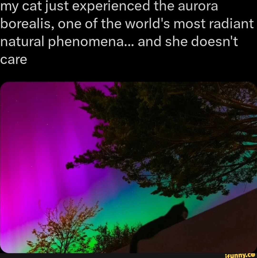 Radiant memes. Best Collection of funny Radiant pictures on iFunny