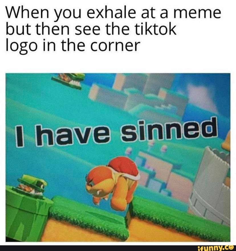 When you exhale at a meme but then see the tiktok logo in the corner ...