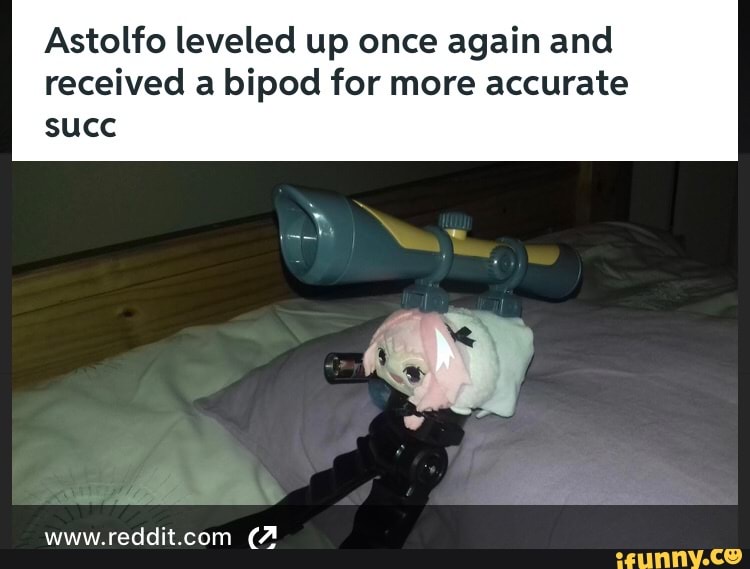 Bipod memes. Best Collection of funny Bipod pictures on iFunny