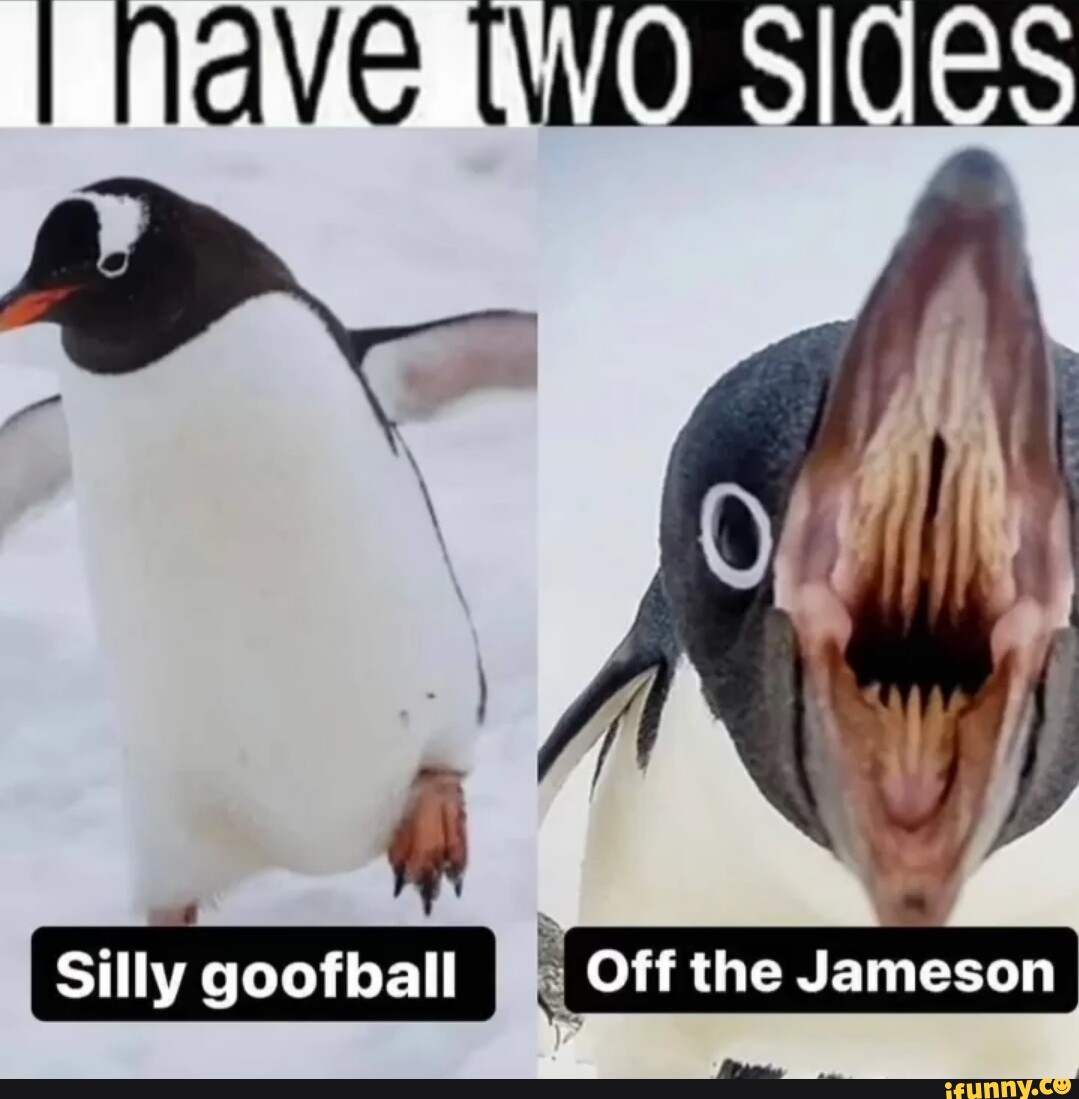 Picture memes S765OctJA by Sqrt2: 1 comment - seo.title