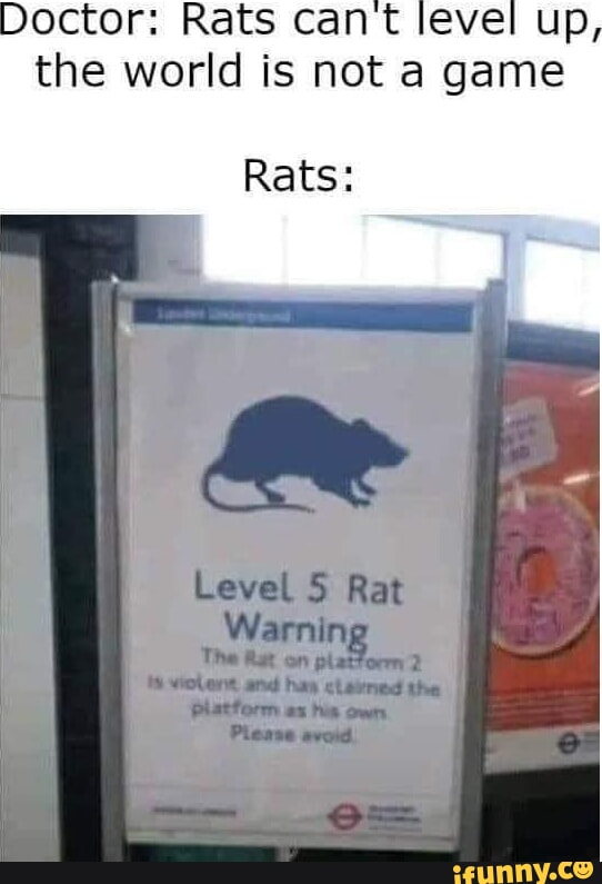 Doctor: Rats cant level up the world is not a game Rats: - iFunny