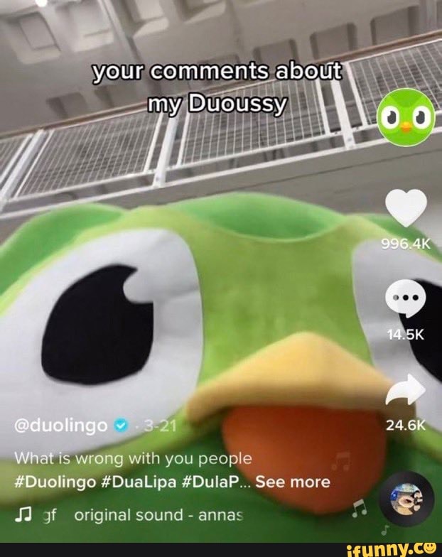 Your my Duoussy @duolingo at wrong with you people go #DuaLipa #DulaP ...