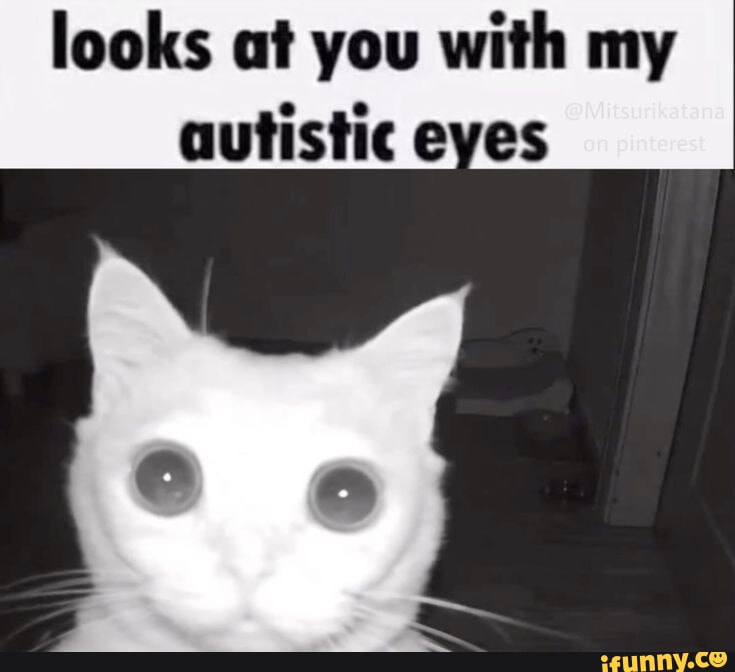 Cats memes. Best Collection of funny Cats pictures on iFunny