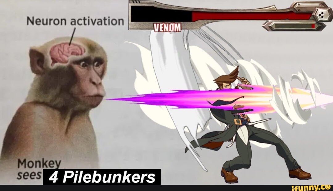 Neuron activation Monkey seesI 4 Piflebunkers - iFunny