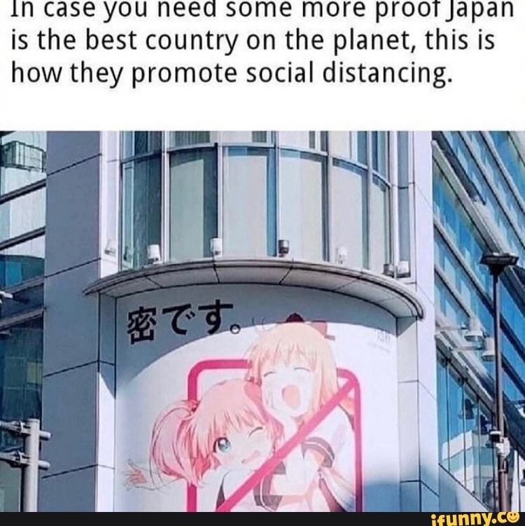 Prool memes. Best Collection of funny Prool pictures on iFunny Brazil