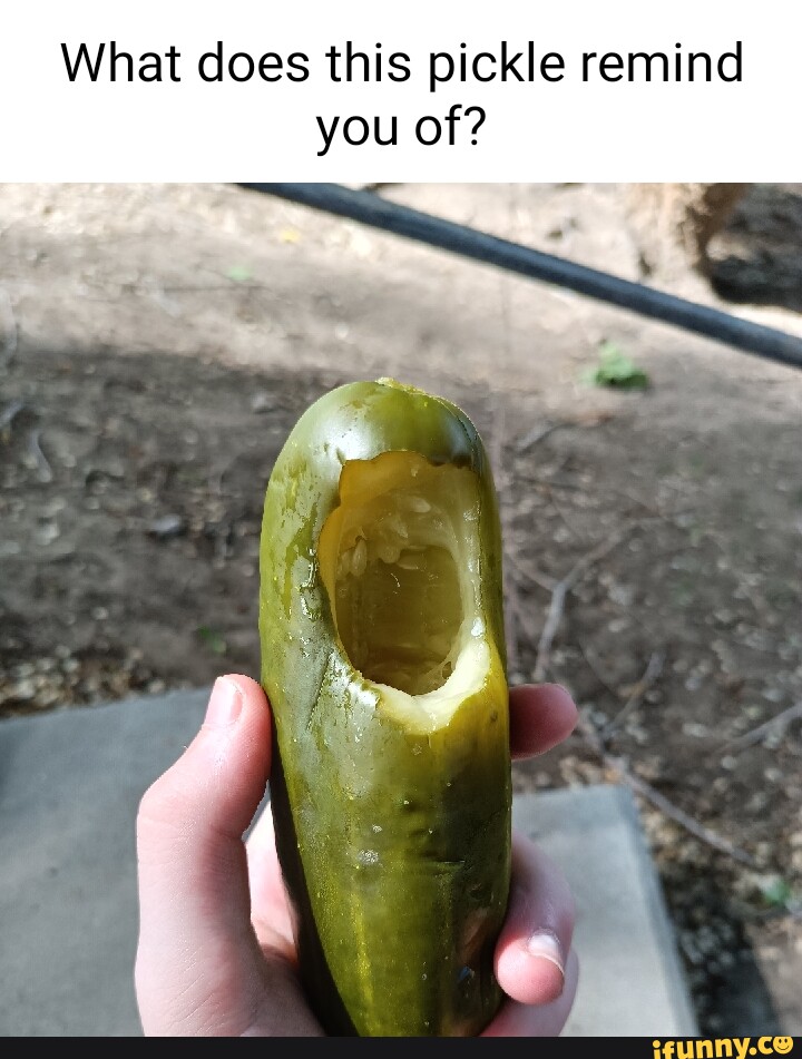 What does this pickle remind you of? - iFunny