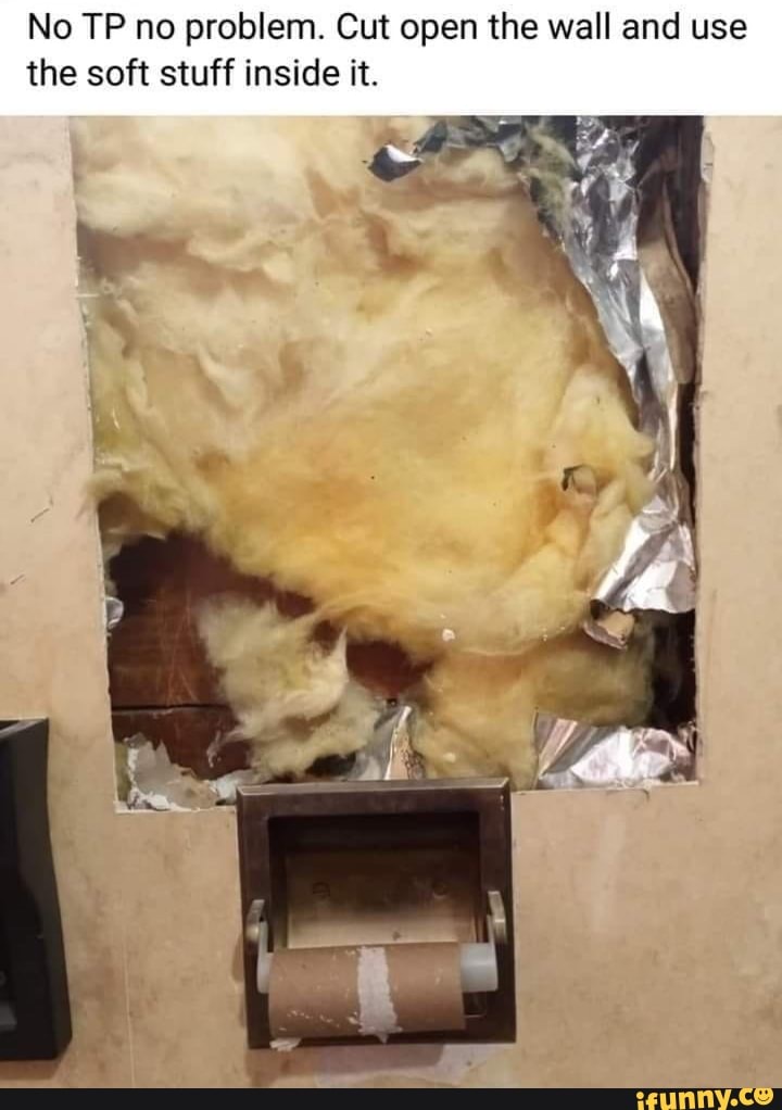 No TP no problem. Cut open the wall and use the soft stuff inside it ...