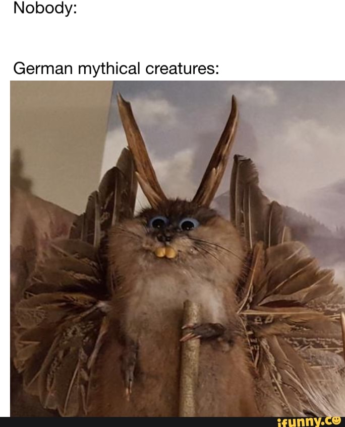 Nobody: German mythical creatures: - iFunny