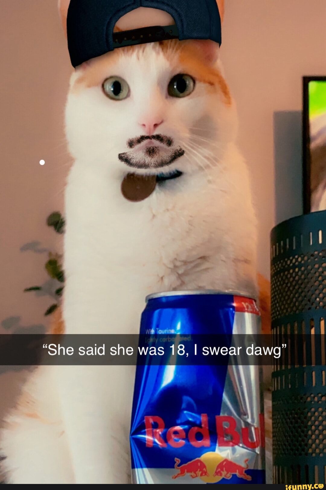 "She said she was 18, I swear dawg" - iFunny