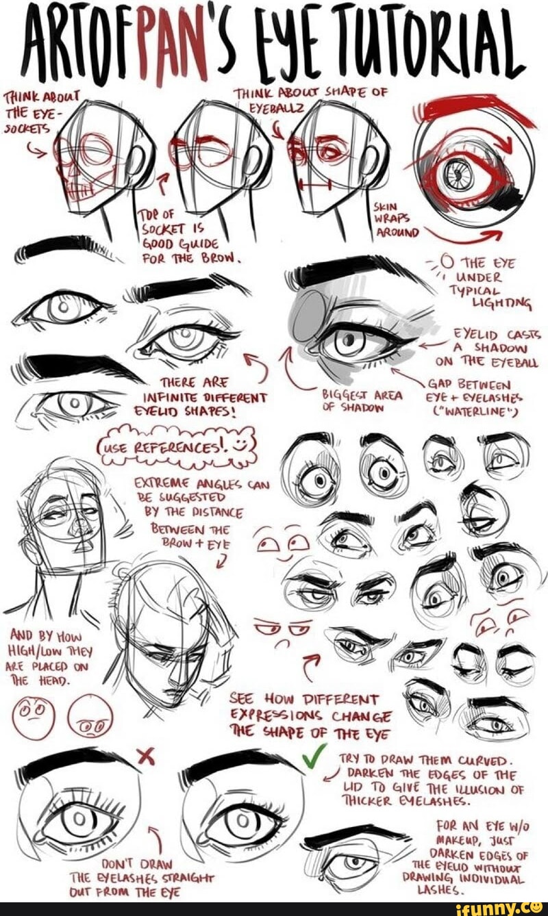 Eyelid memes. Best Collection of funny Eyelid pictures on iFunny