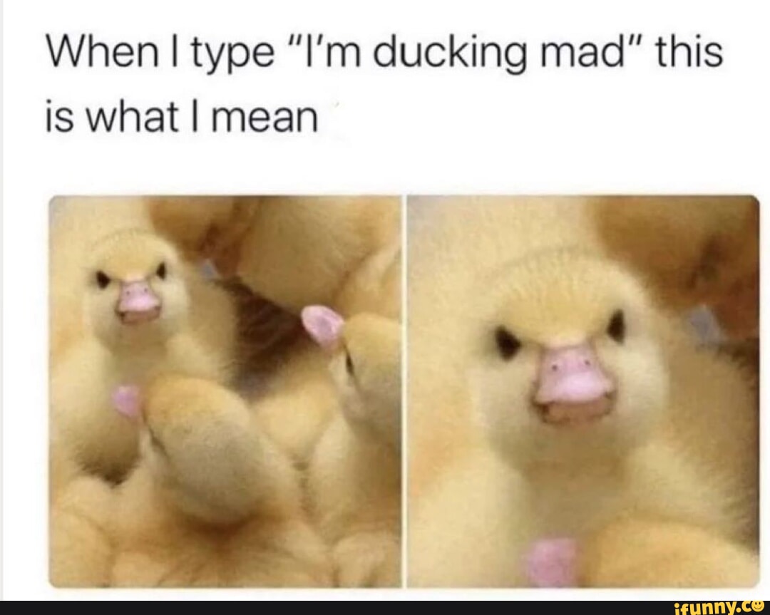 What Mad At Meme