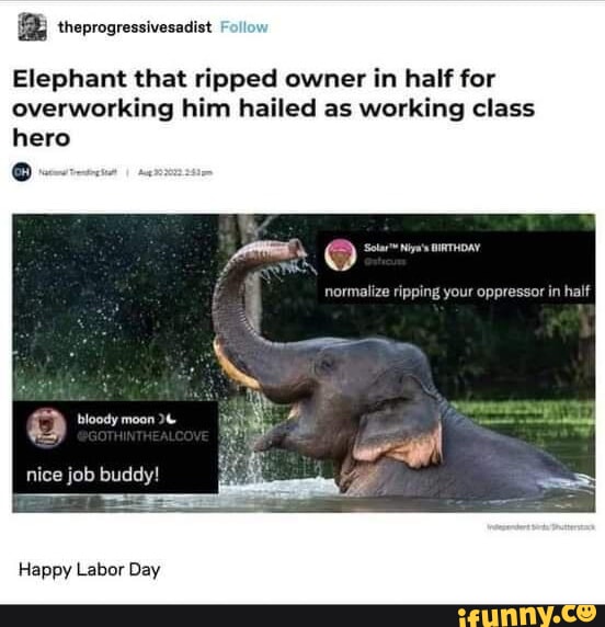 Overworking memes. Best Collection of funny Overworking pictures on iFunny