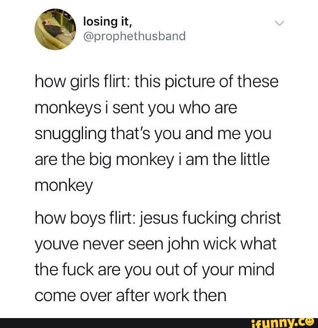 How girls flirt: this picture of these monkeys i sent you who are ...