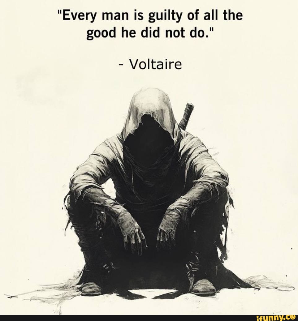"Every man is guilty of all the good he did not do." - Voltaire - iFunny