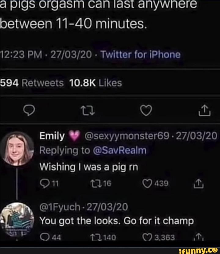 Cursed_pig memes. Best Collection of funny Cursed_pig pictures on iFunny