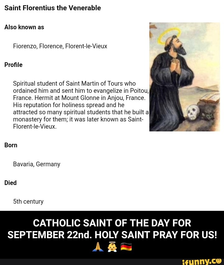 Poitou memes. Best Collection of funny Poitou pictures on iFunny