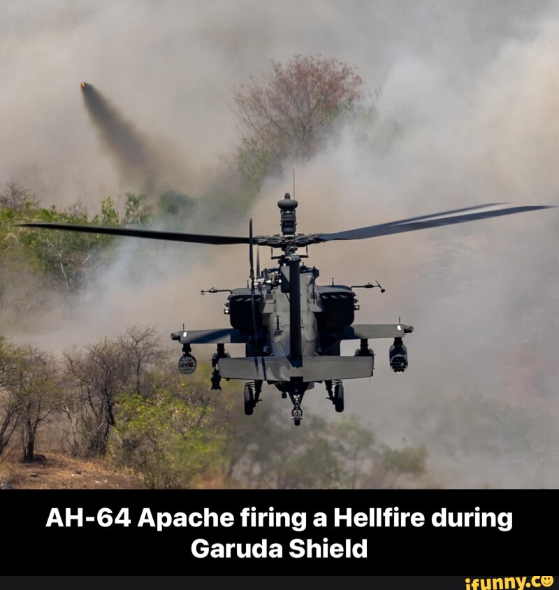 Garuda memes. Best Collection of funny Garuda pictures on iFunny