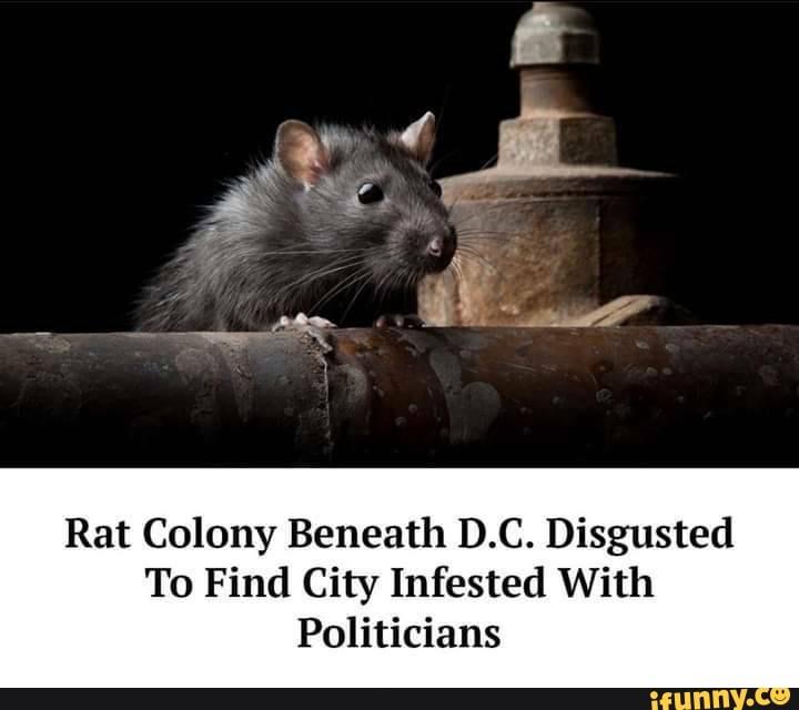 Infested memes. Best Collection of funny Infested pictures on iFunny