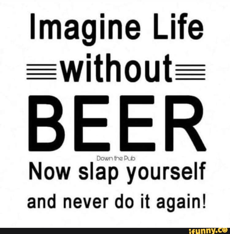 Imagine Life =without= BEER Now slap yourself and never do it again ...