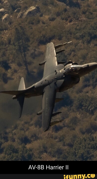 Harrier memes. Best Collection of funny Harrier pictures on iFunny