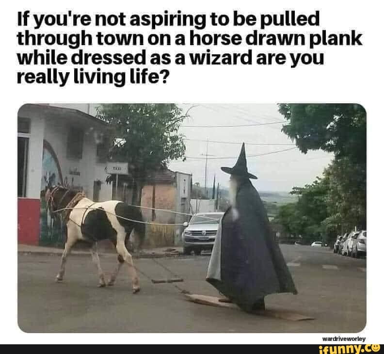 Wizardmeme memes. Best Collection of funny Wizardmeme pictures on iFunny