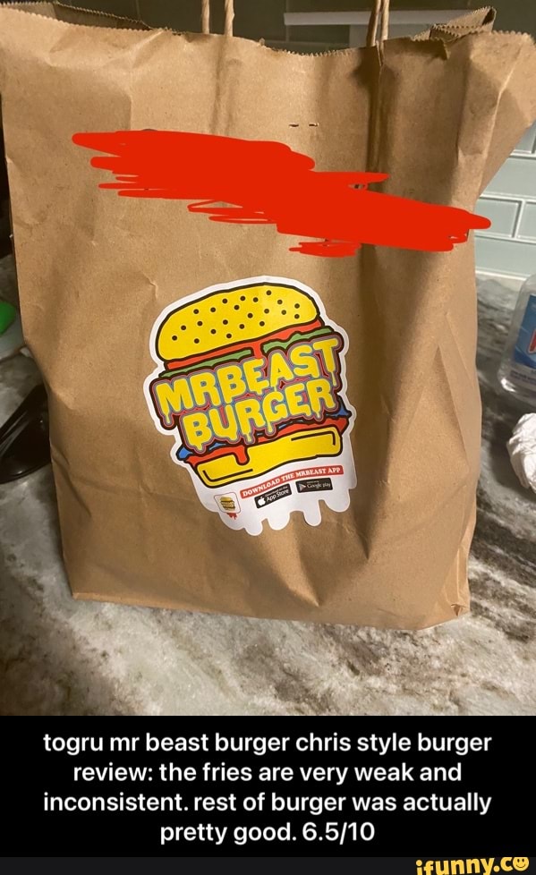 Togru mr beast burger chris style burger review: the fries are very ...
