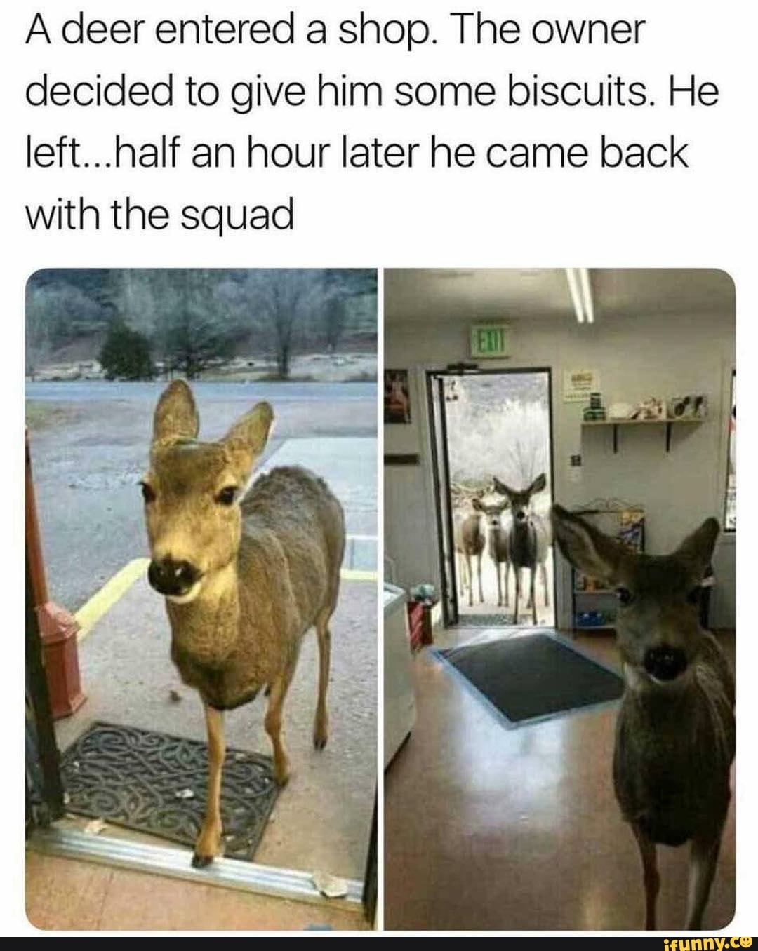 The most popular Wholesome-wednesday memes on iFunny