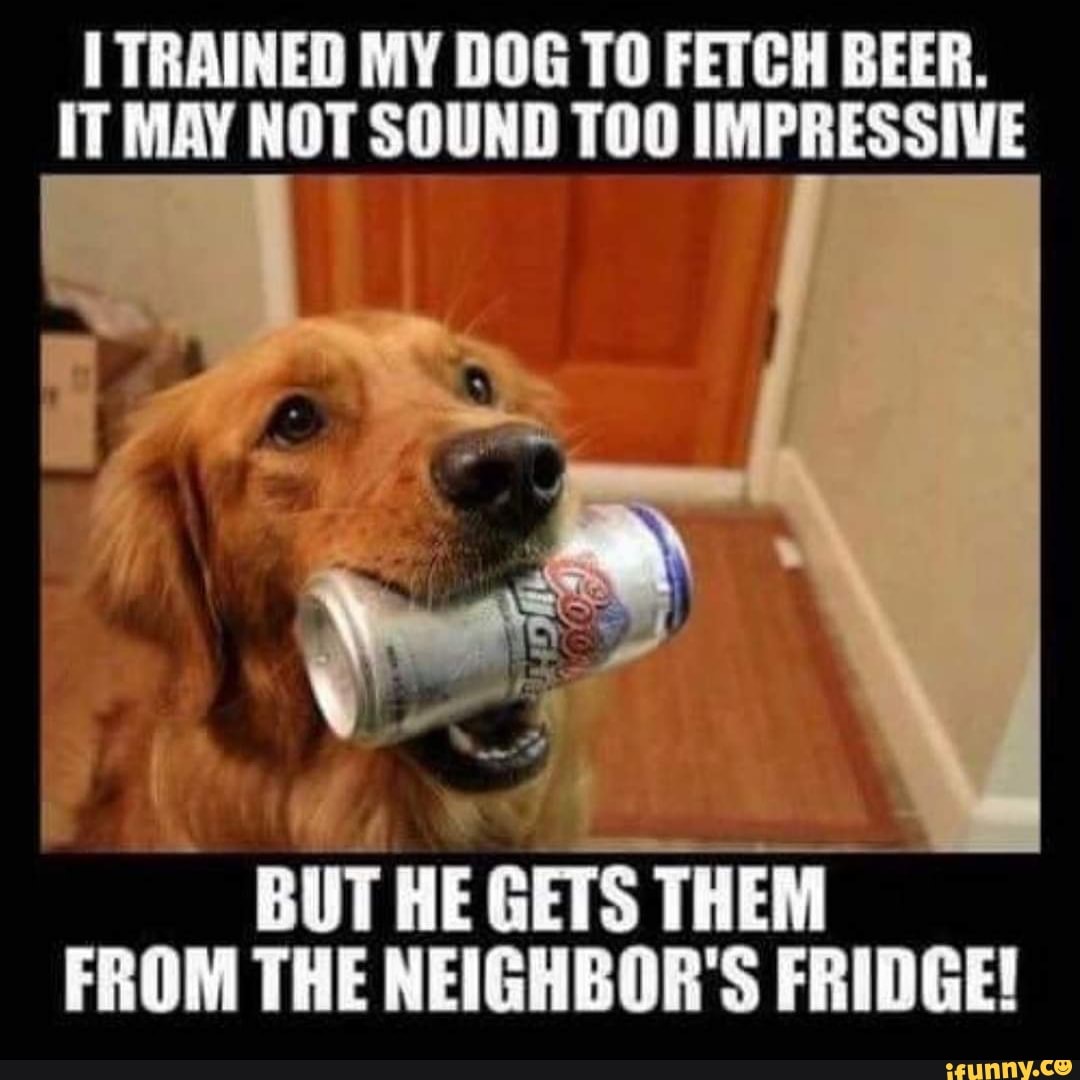 TRAINED MY DOG TO FETCH BEER. IT MAY NOT SOUND TOO IMPRESSIVE BUT HE ...