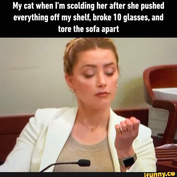 My cat when I'm scolding her after she pushed everything off my shelf ...