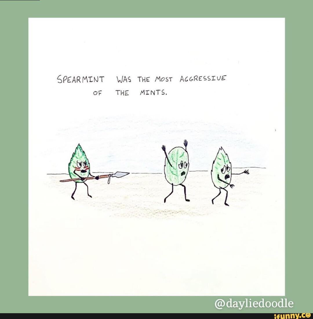 Spearmint memes. Best Collection of funny Spearmint pictures on iFunny