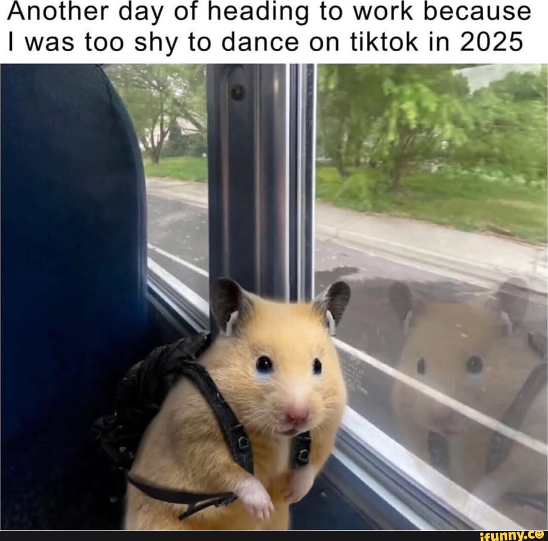 Another day of heading to work because I was too shy to dance on tiktok ...