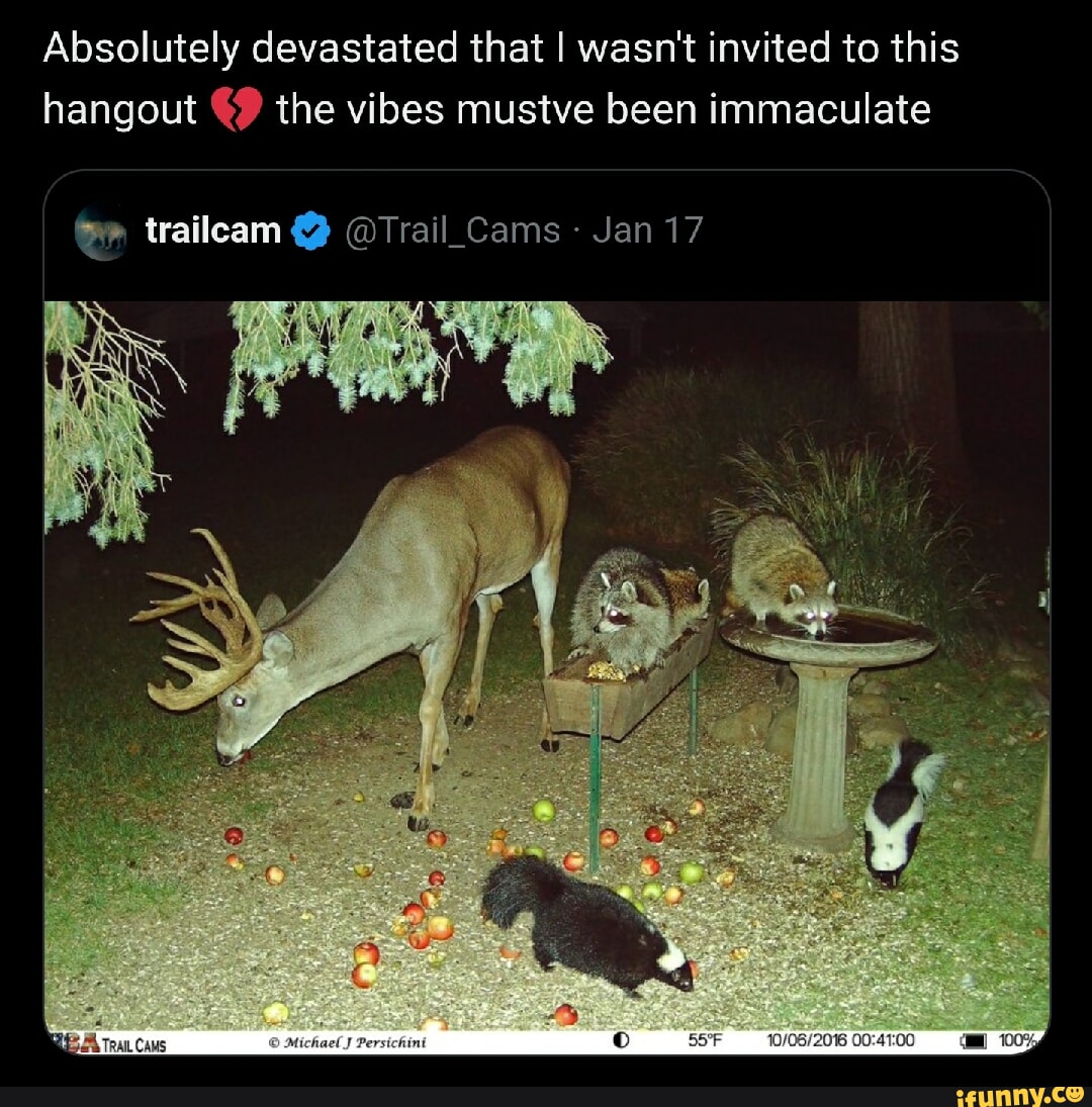 Devastated memes. Best Collection of funny Devastated pictures on iFunny