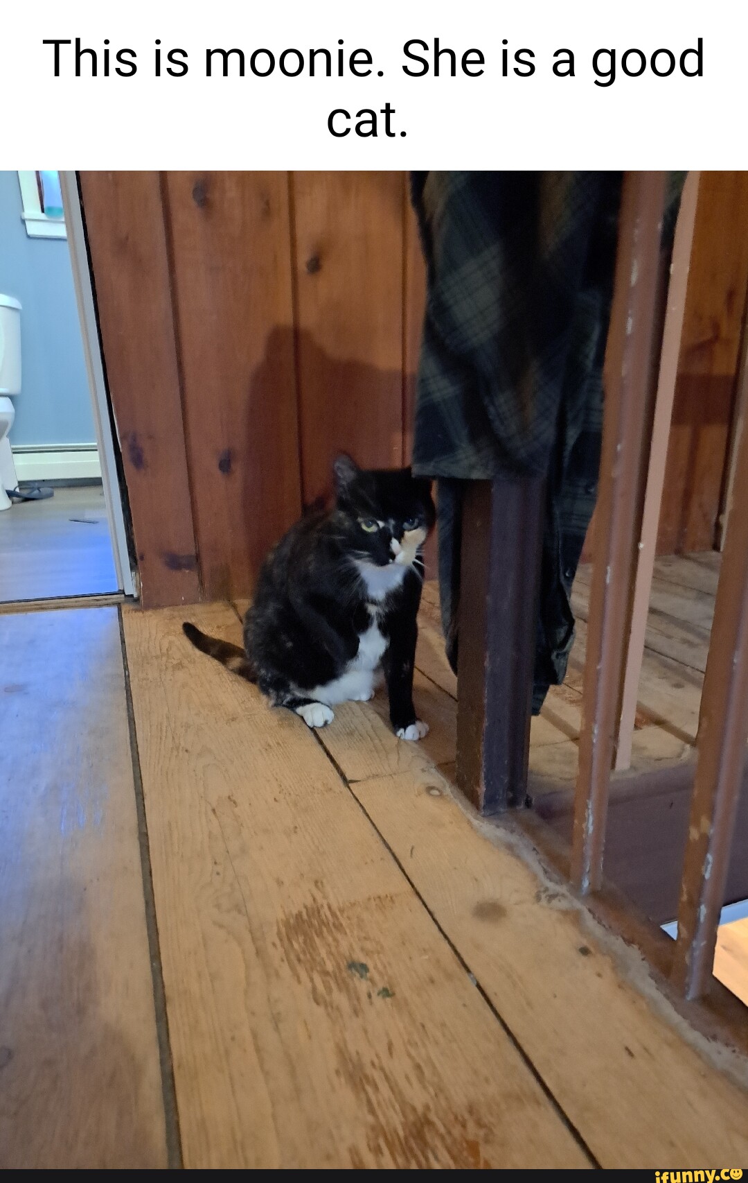 Moonie memes. Best Collection of funny Moonie pictures on iFunny