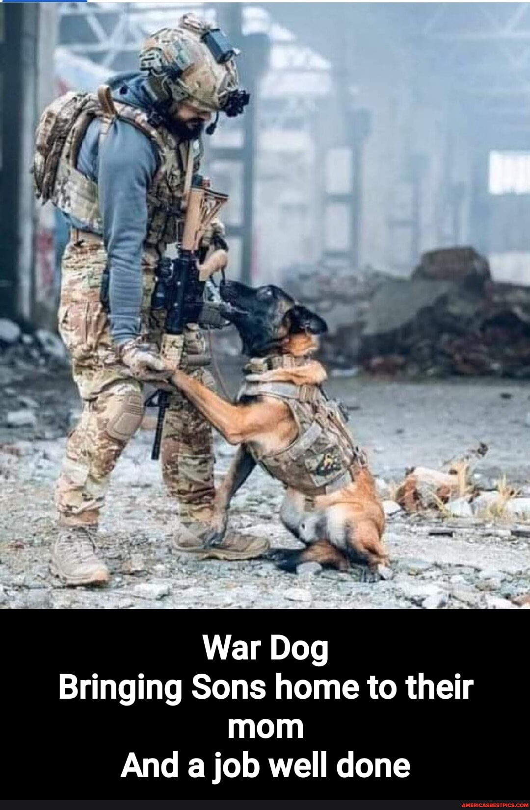 SS War Dog Bringing Sons home to their mom And a job well done ...