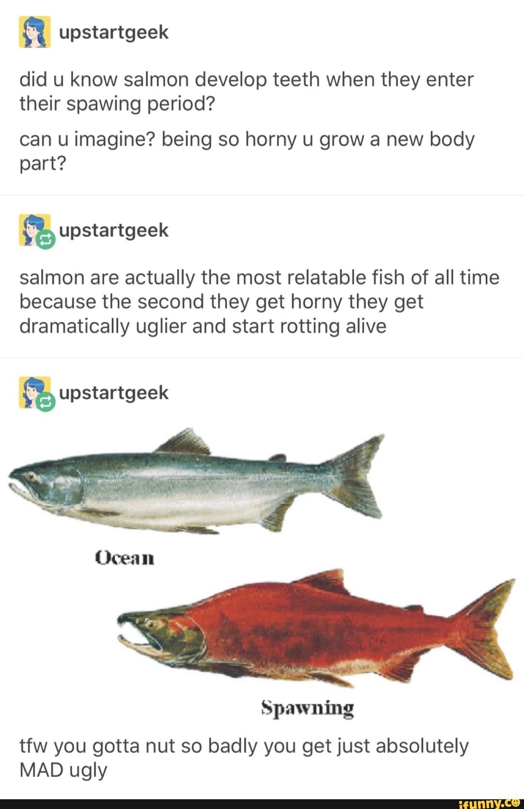 Salmon Teeth