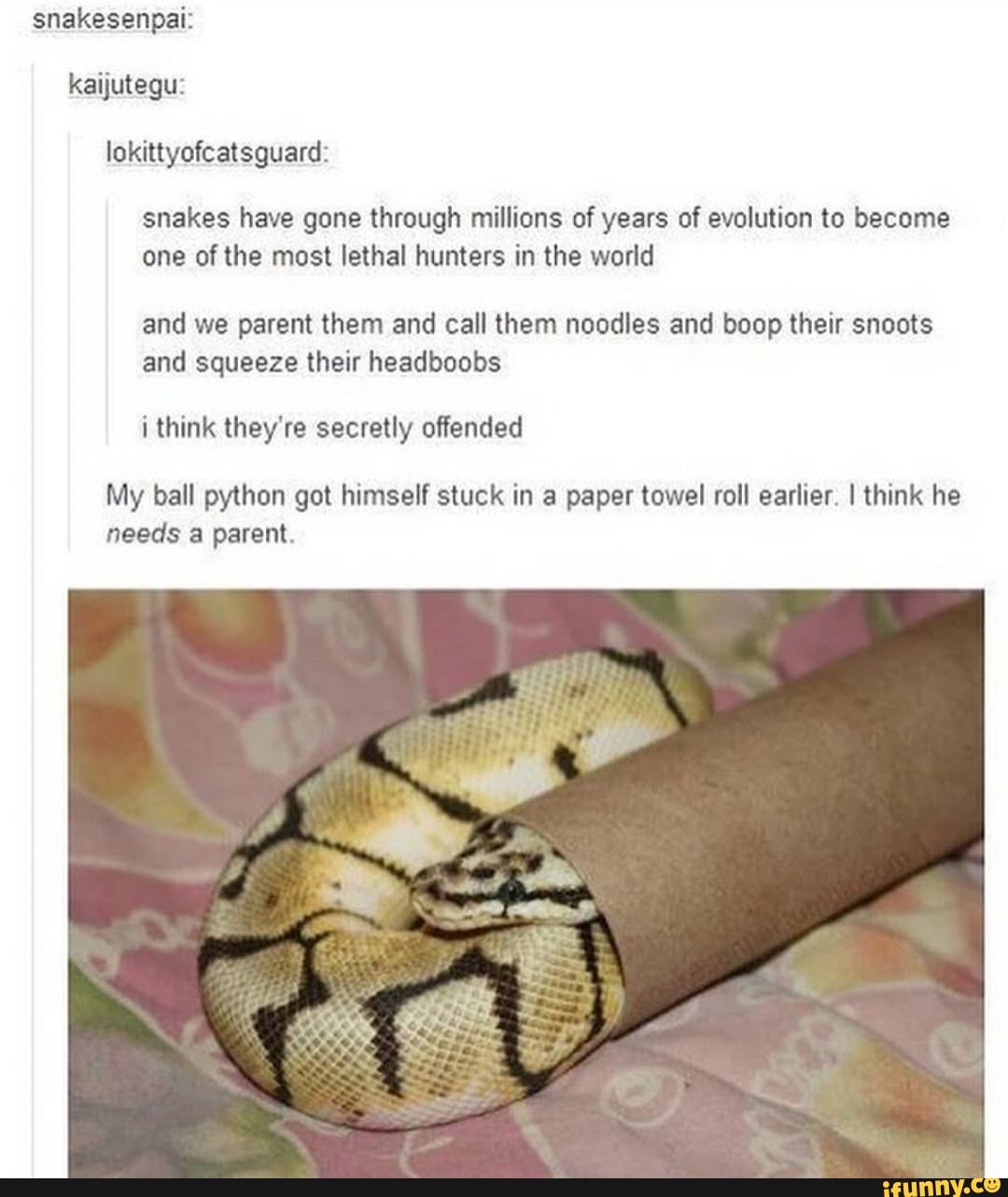 Snakesenpai: kaijutegu: snakes have gone through millions of years of ...
