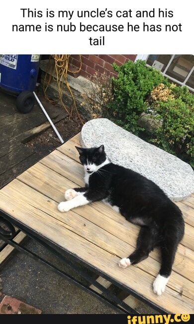 Nub memes. Best Collection of funny Nub pictures on iFunny