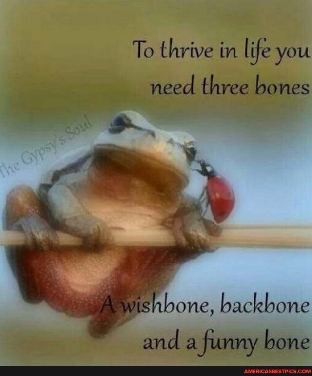 To thrive in life you need three bones is bone, backbone and funny bone ...