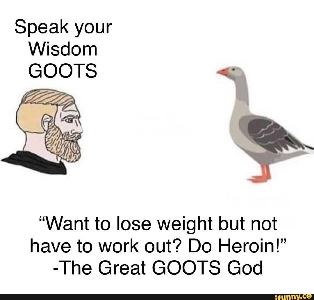 Goots memes. Best Collection of funny Goots pictures on iFunny